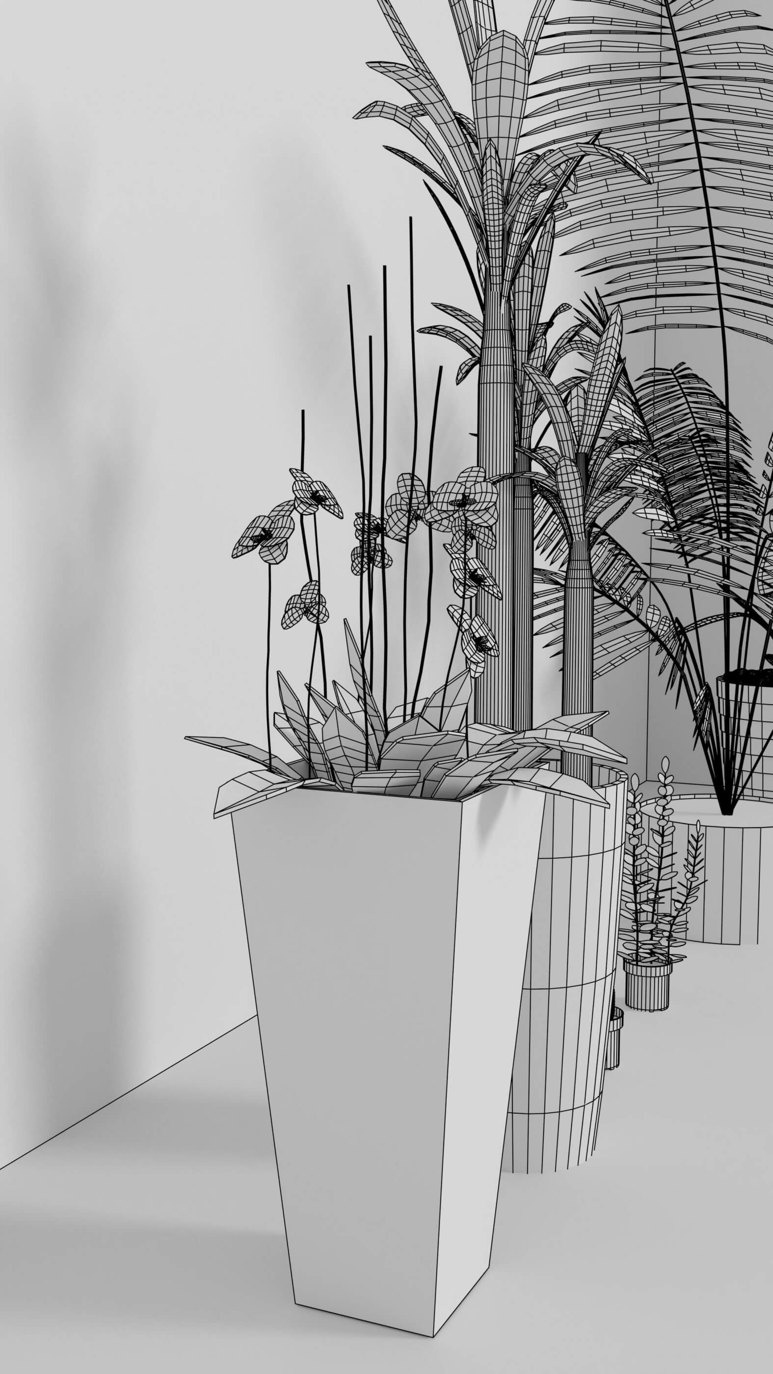 Indoor Plants - 3D Model by miladd