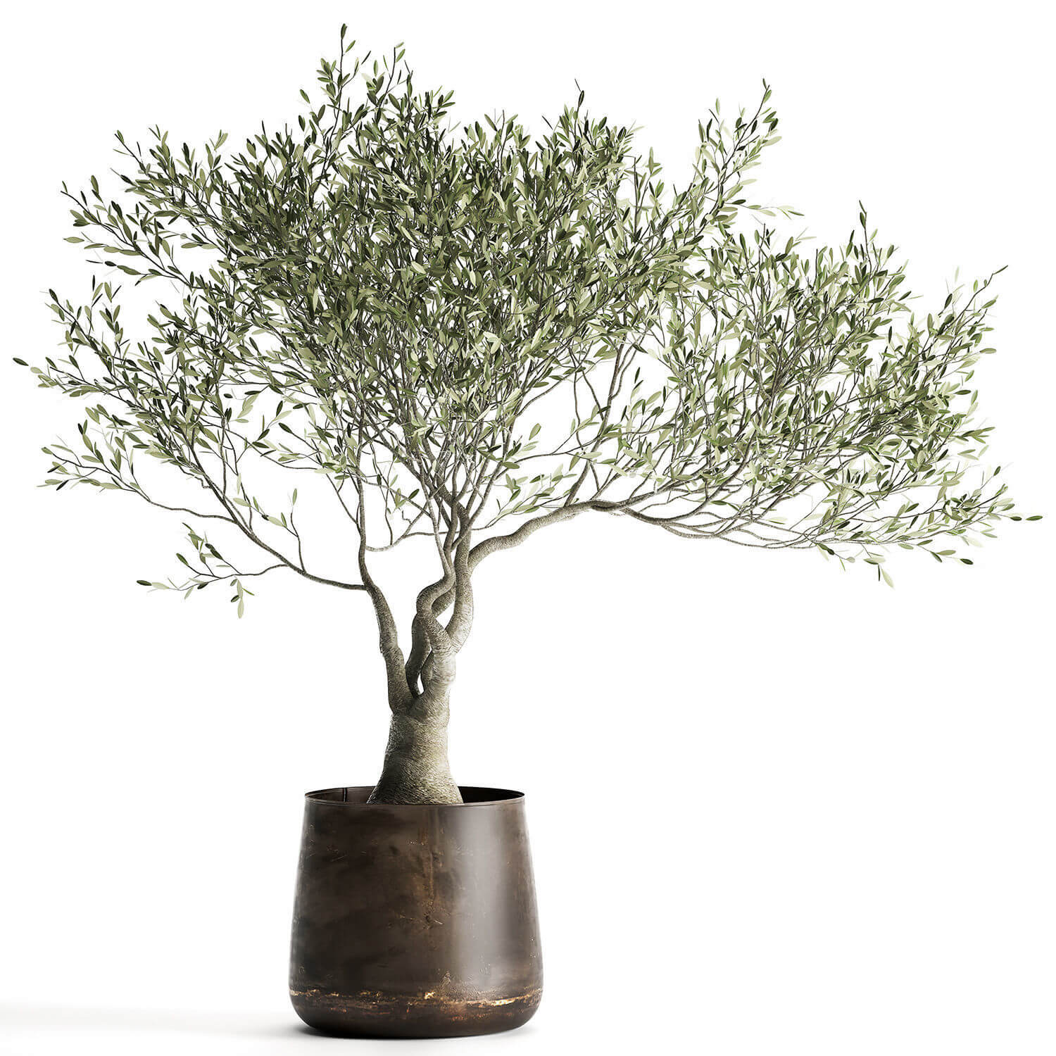 A Small Olive Tree in a Rusty Metal Pot and Flowerpot - 3D Model by ...