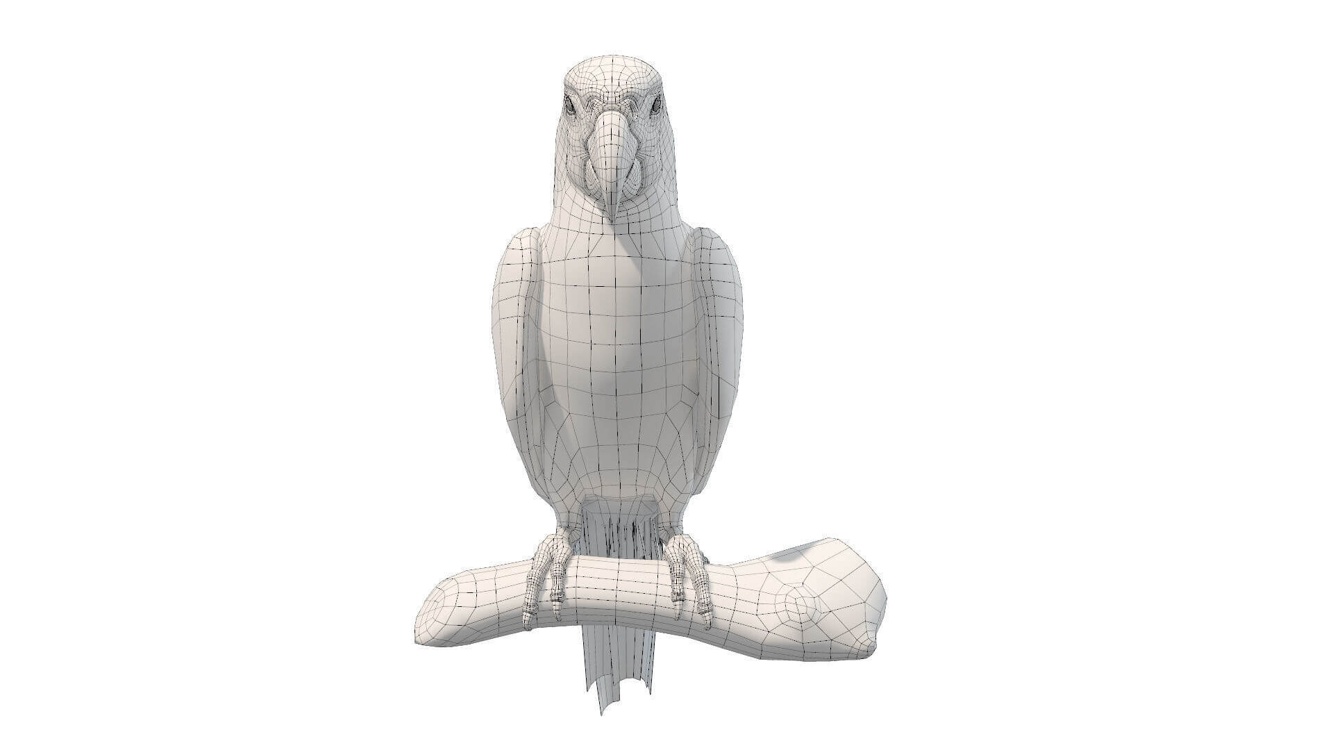 Blue and Yellow Macaw - 3D Model by mimostar