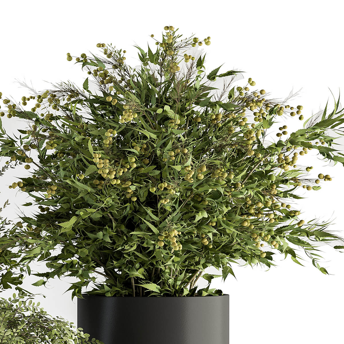 Indoor Plant Set 371 3d Model By Mimostar