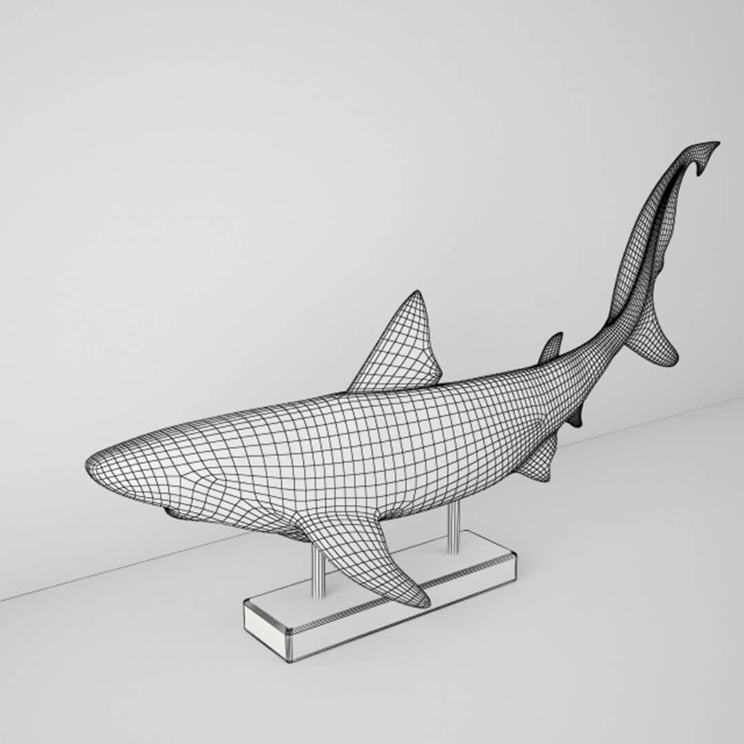 Relief of a Swimming Shark - 3D Model by mimostar