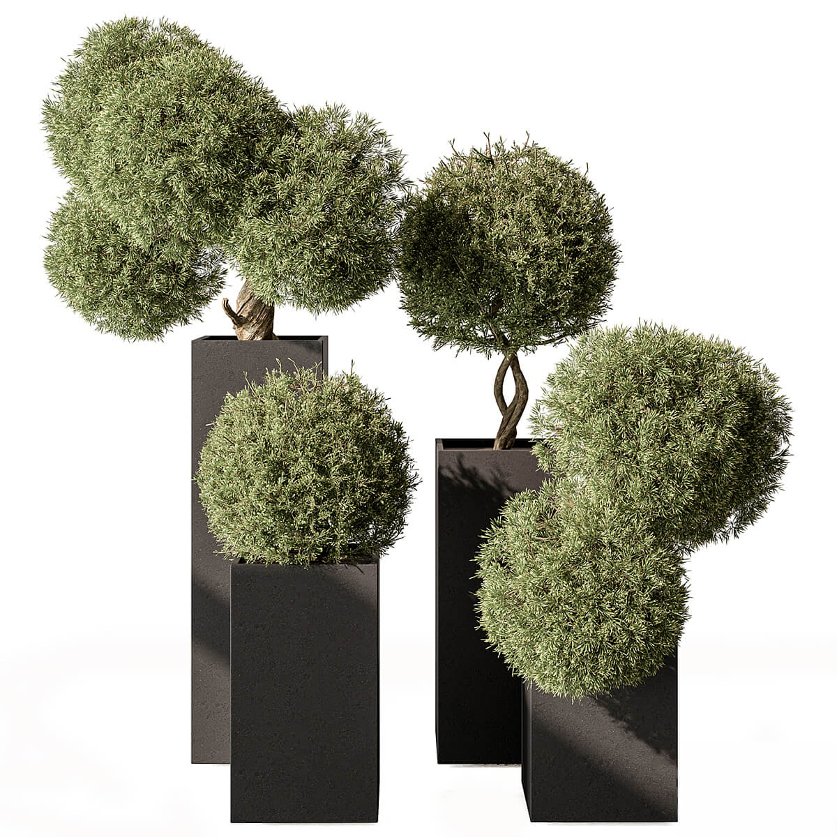 Topiary Plant in Box - 3D Model by mimostar