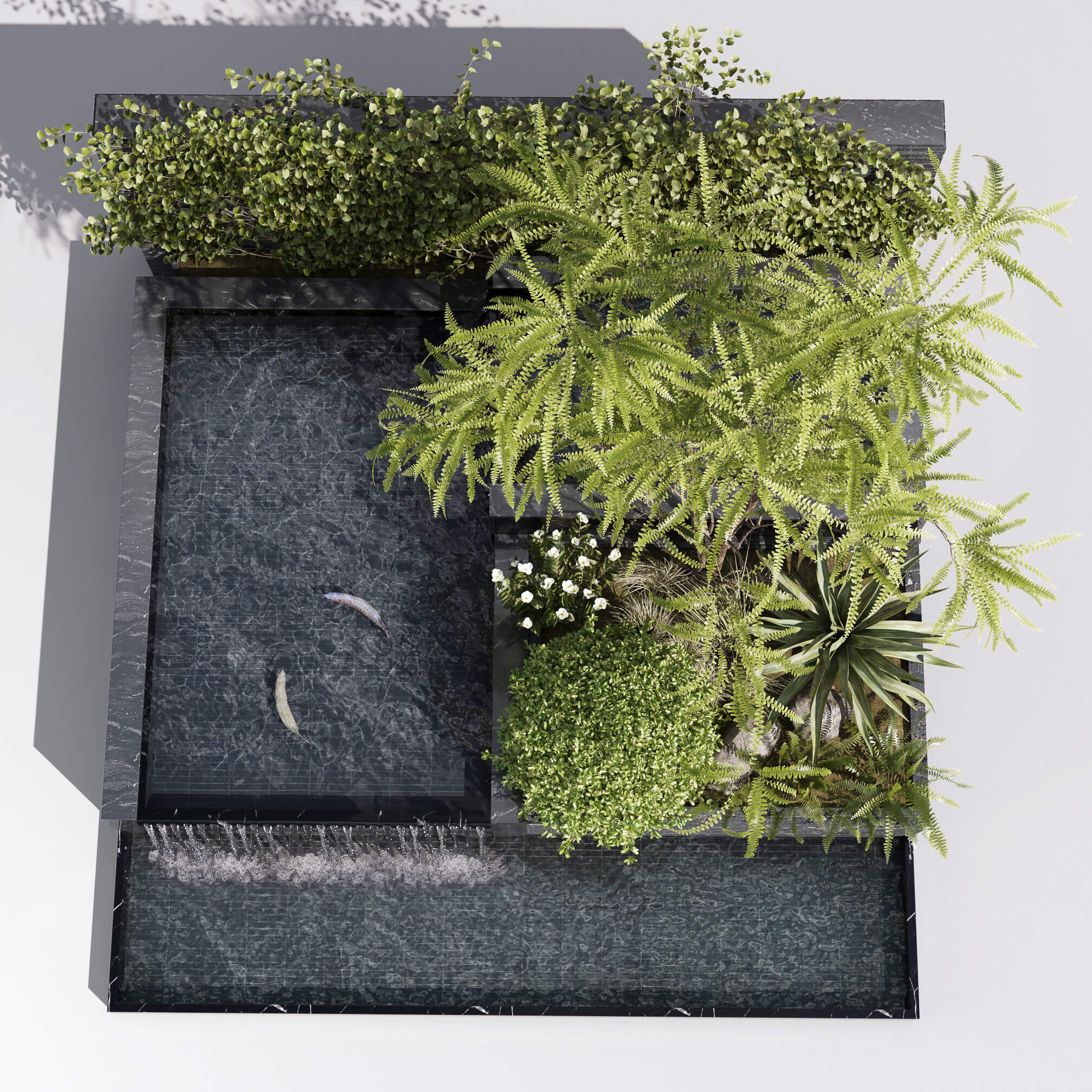 Water Ponds With Plants & Fish - 3D Model by mimostar