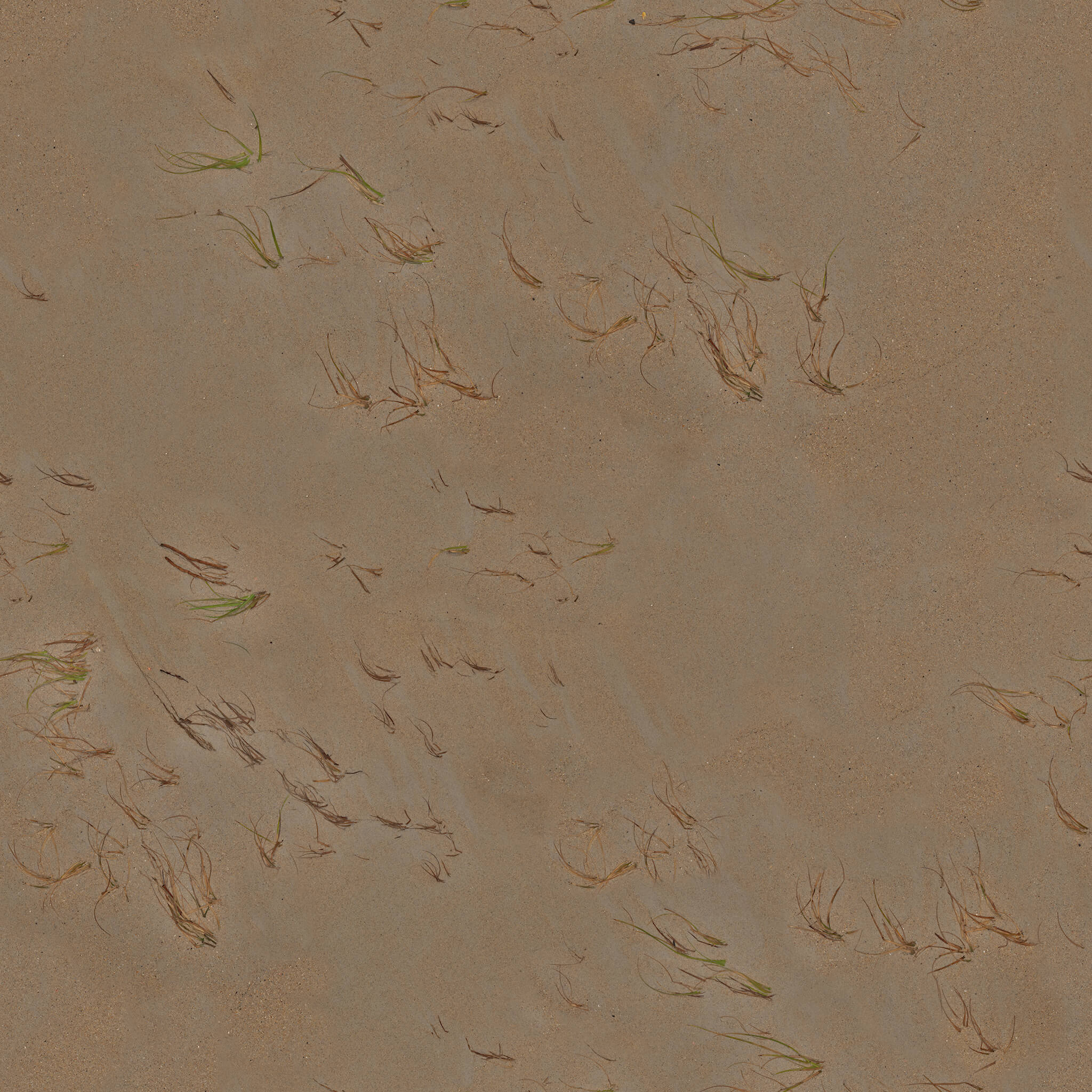Sand Seamless Texture 2K Pixel - EXR 5 - JPG 5 by miningids123