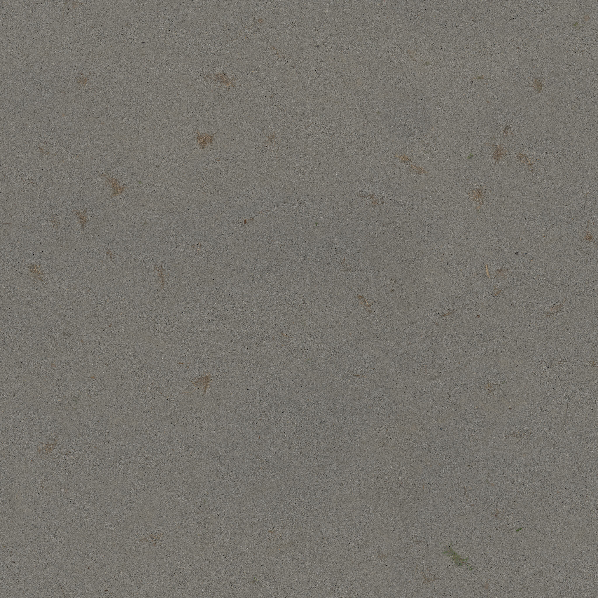 Sand Seamless Texture 2K Pixel - EXR 5 - JPG 5 by miningids123