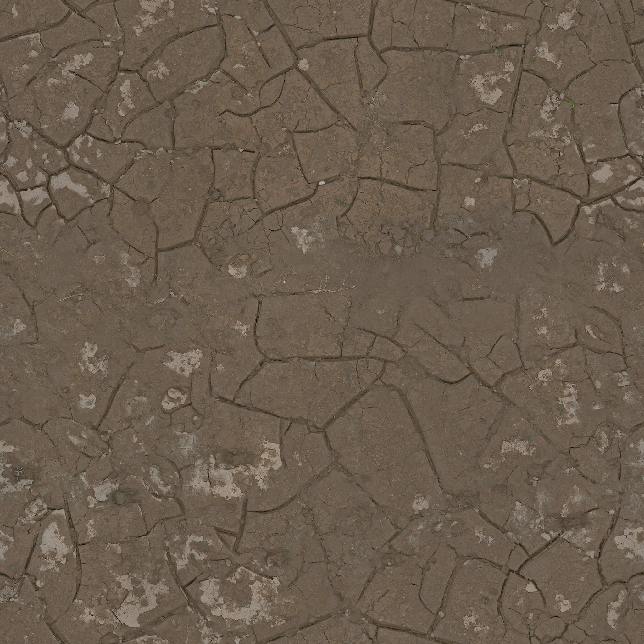 Soil Seamless Texture 2K Pixel - EXR 5 - JPG 5 by miningids123