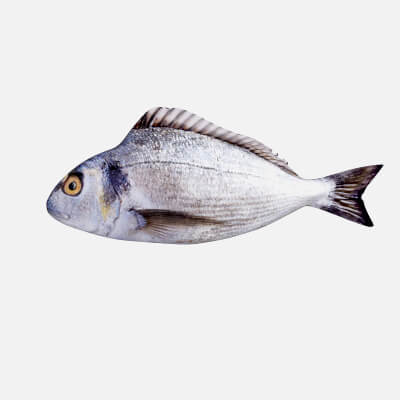 Bream Fish Photorealistic - 3D Model by Miraz01