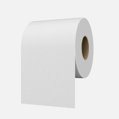 Toilet Paper Blender Model by Miraz01