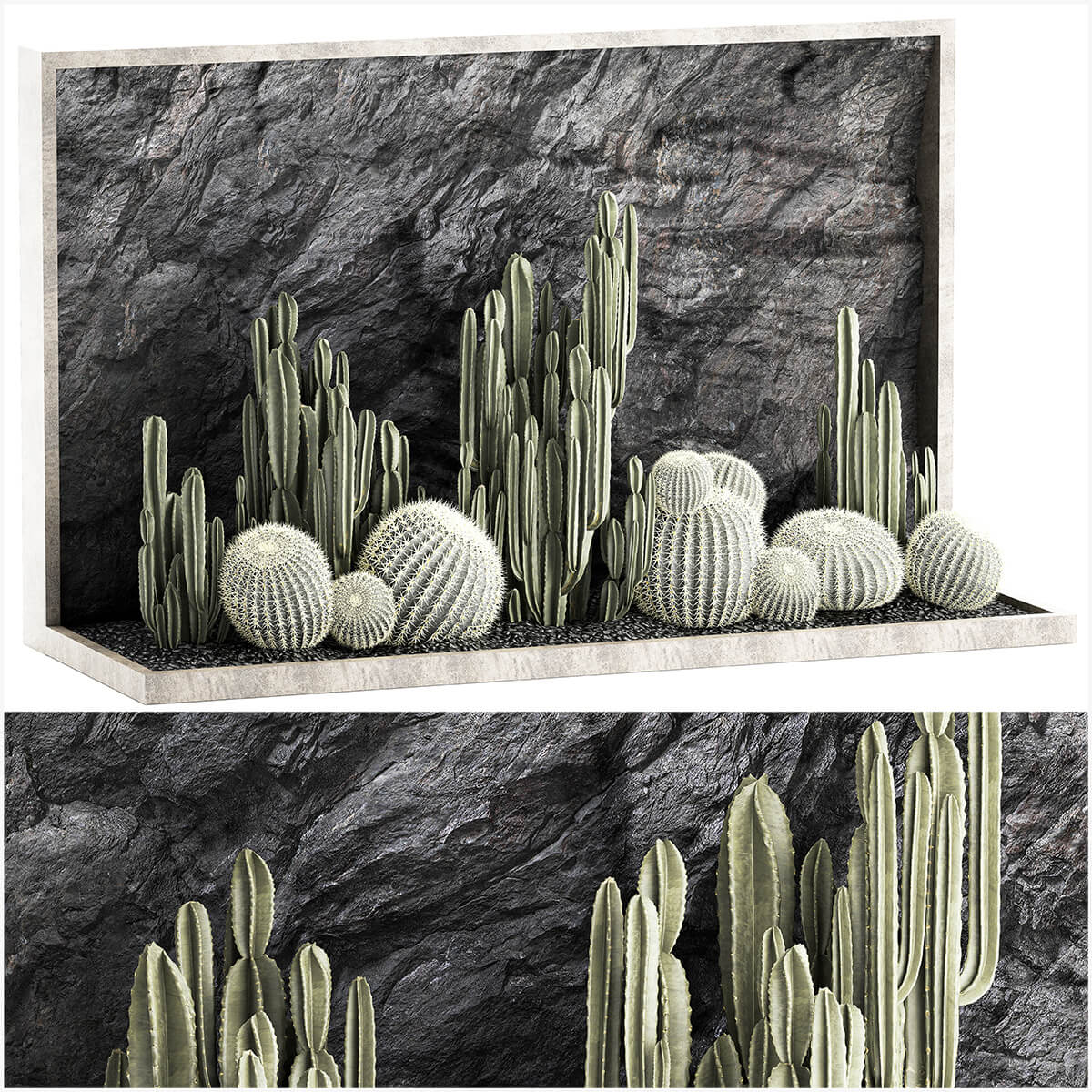Previous Next Color Palette Beautiful Cacti and a Wall - 3D Model by ...