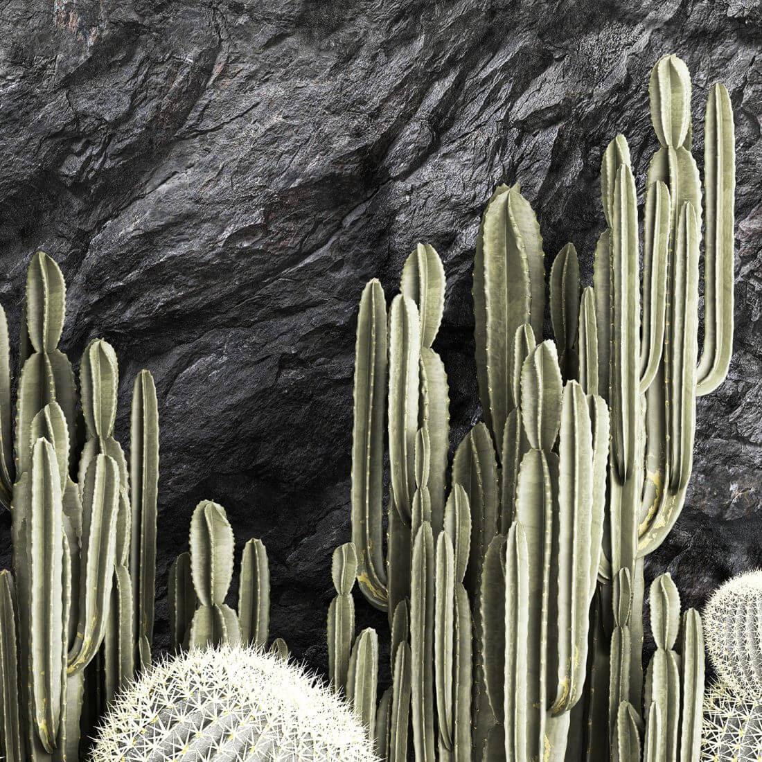 Previous Next Color Palette Beautiful Cacti and a Wall - 3D Model by ...