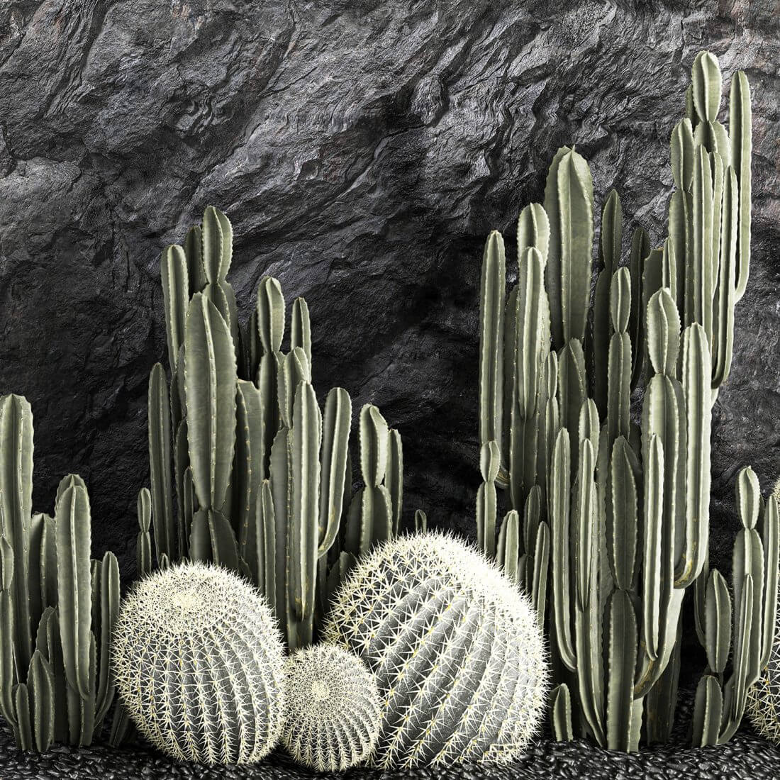 Previous Next Color Palette Beautiful Cacti and a Wall - 3D Model by ...