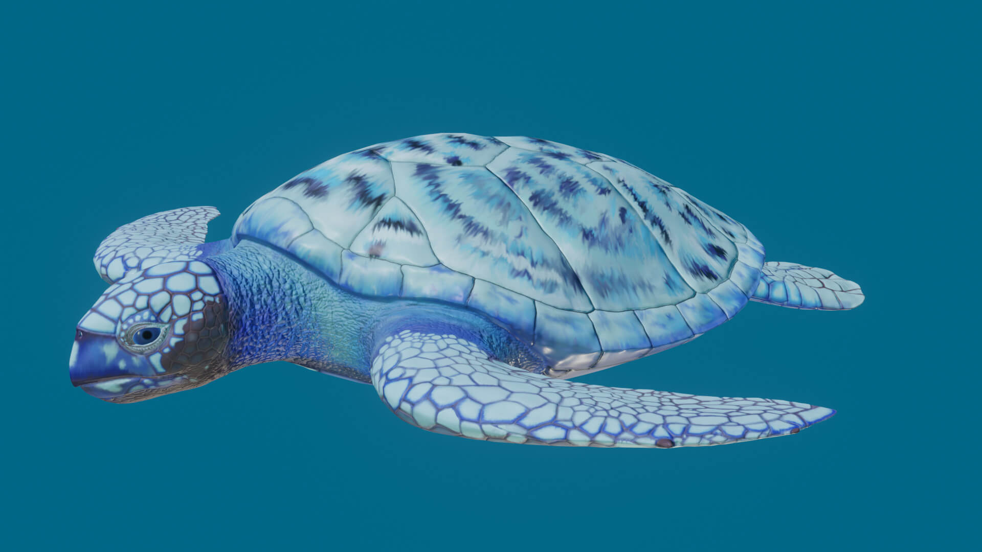 Sea Turtle - 3D Model by Mixiy