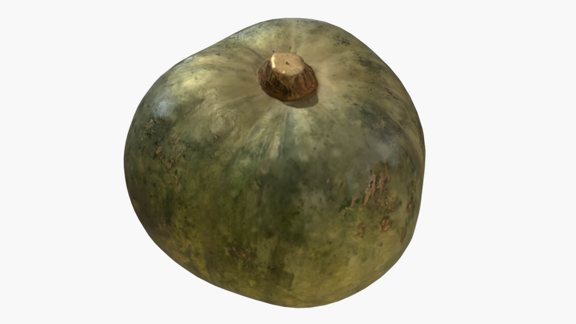 Pumpkin Green - 3D Model by MMr3dLab