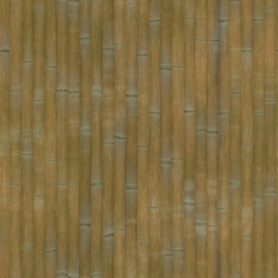 Single Bamboo Texture 3ds Max Новая школа | Architectuur,