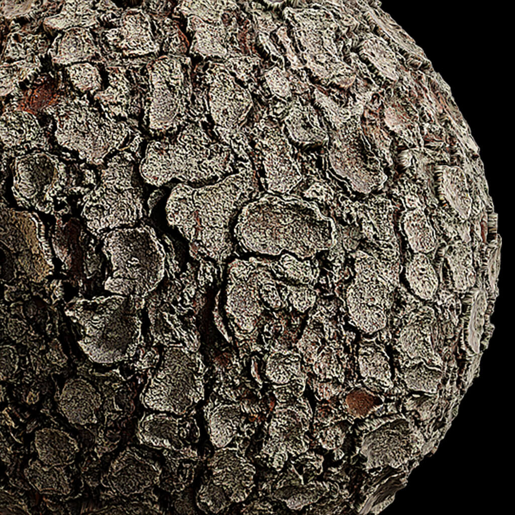 Bark Seamless Texture 2K (2048*2048) - EXR 5 - JPG 5 by model789
