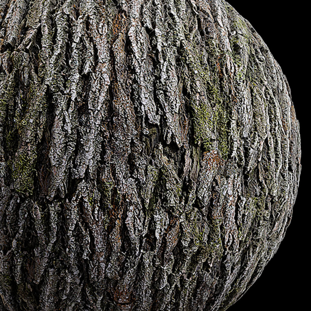 Bark Seamless Texture 2K (2048*2048) - EXR 5 - JPG 5 by model789