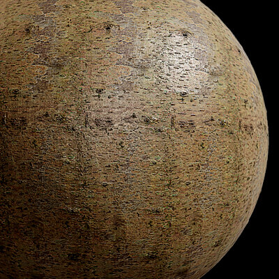 Pbr Textures | Textures | Bark | RenderHub