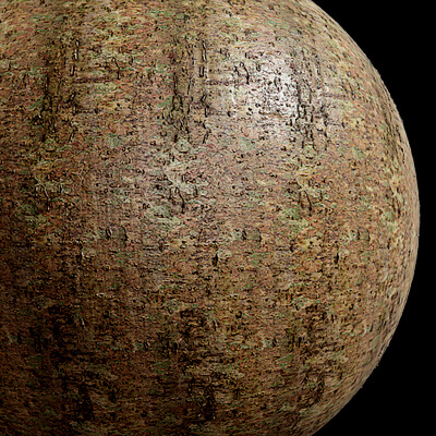Pbr Textures | Textures | Bark | RenderHub