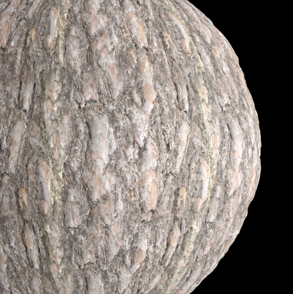 Bark Seamless Texture Patterns 2K (2048*2048) by model789