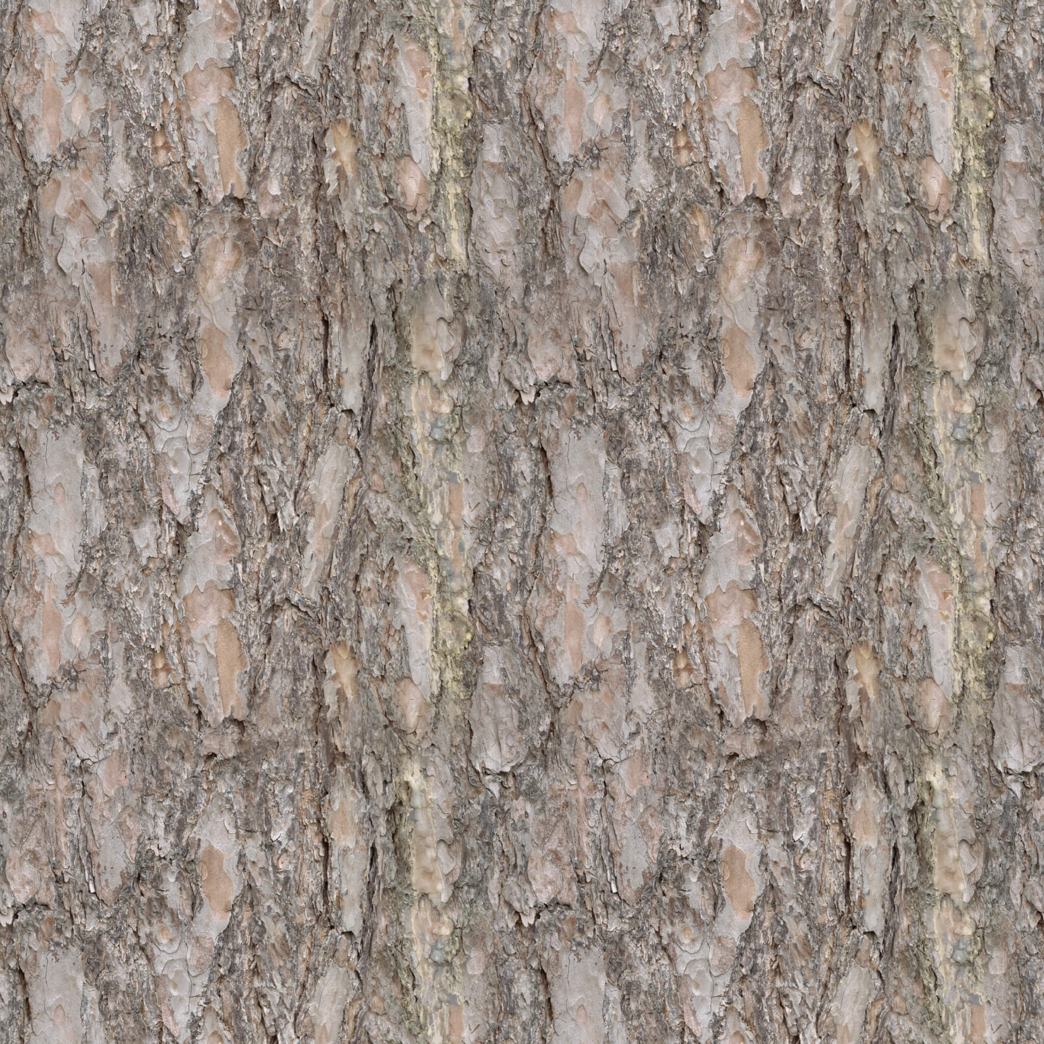 Bark Seamless Texture Patterns 2K (2048*2048) by model789