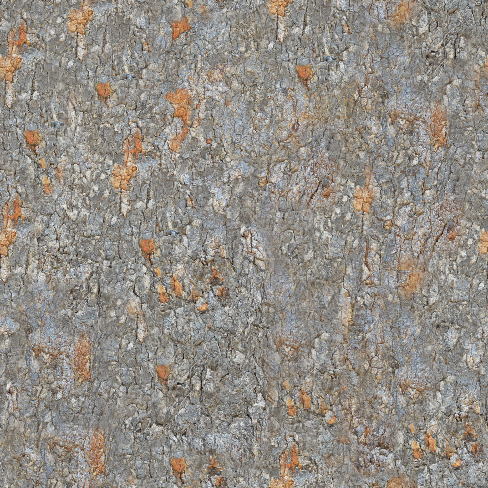 Bark Seamless Texture Patterns 2K (2048*2048) by model789