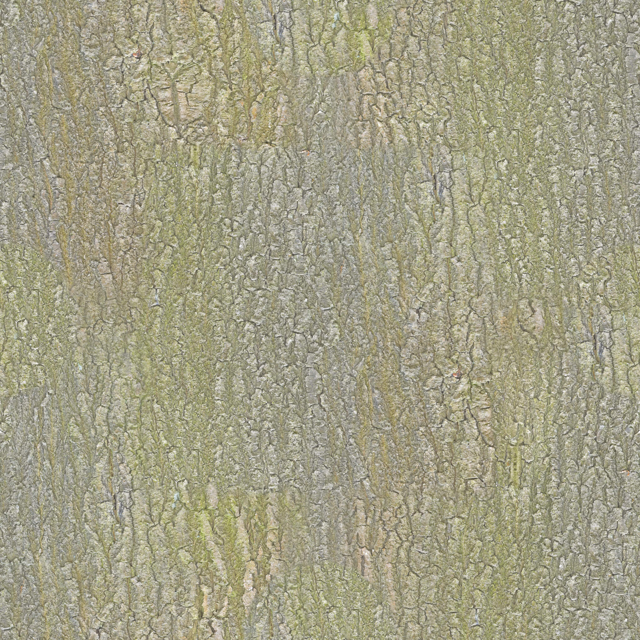 Bark Seamless Texture Patterns 2K (2048*2048) by model789