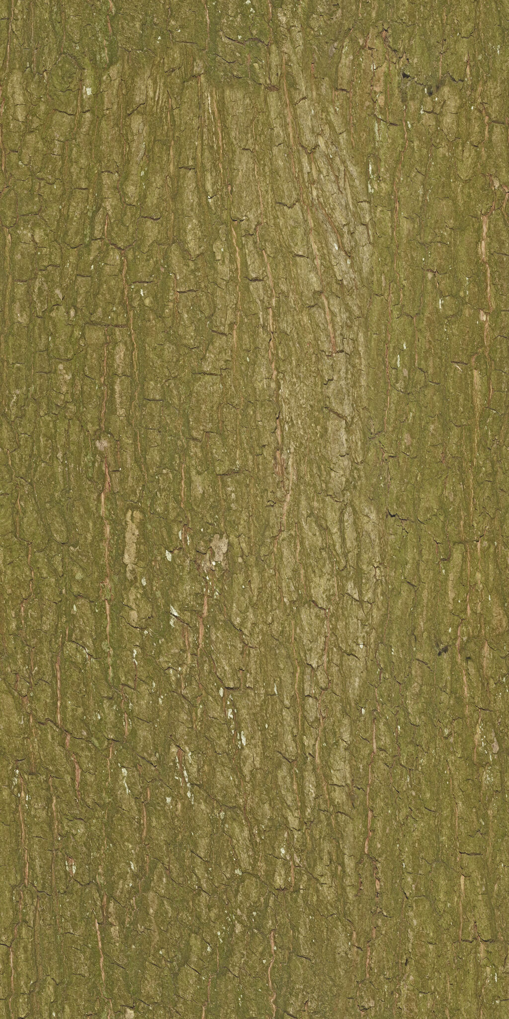 Bark Seamless Texture Patterns 2K (2048*2048) by model789