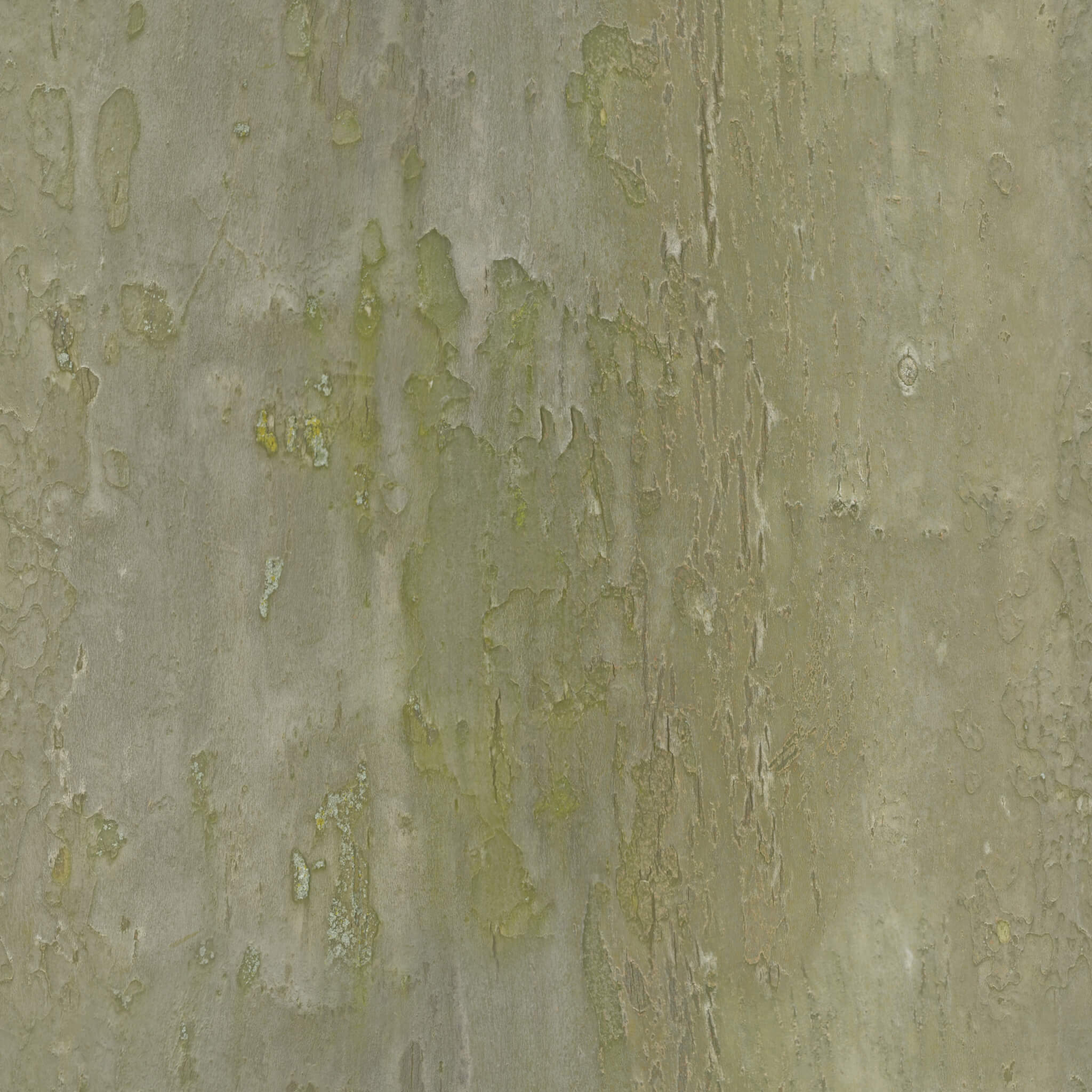 Bark Seamless Texture Patterns 2K (2048*2048) by model789