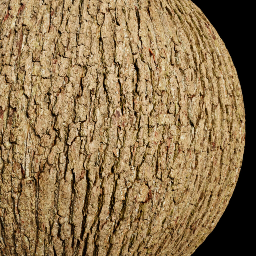 Bark Seamless Texture Patterns 2K (2048*2048) by model789