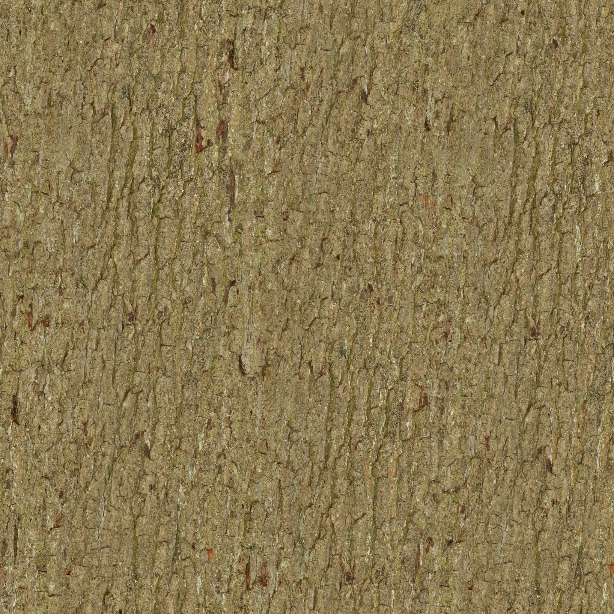 Bark Seamless Texture Patterns 2K (2048*2048) by model789