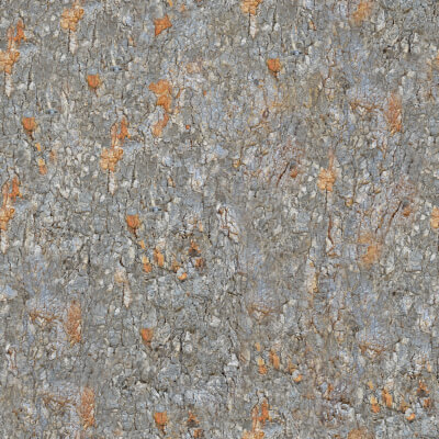 Bark Seamless Texture Patterns 2K (2048*2048) by model789