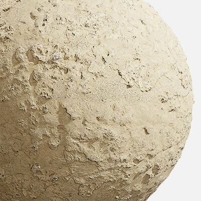 Tree Bark Texture by artist_sush