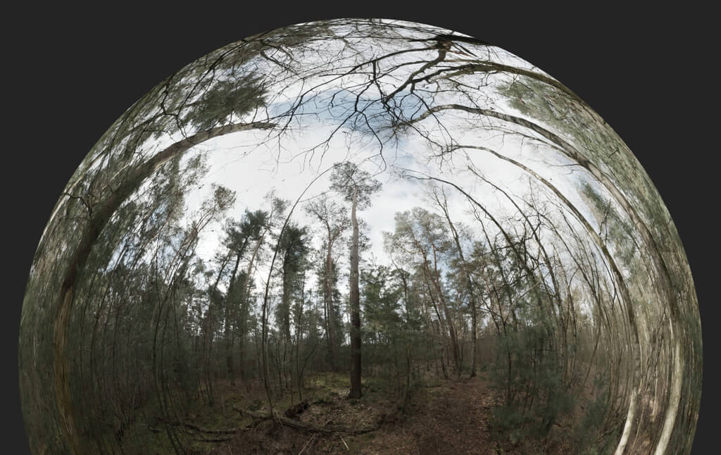 Dayenvironment HDRI Seamless Texture Patterns 4K (4096*4096) - HDR ...