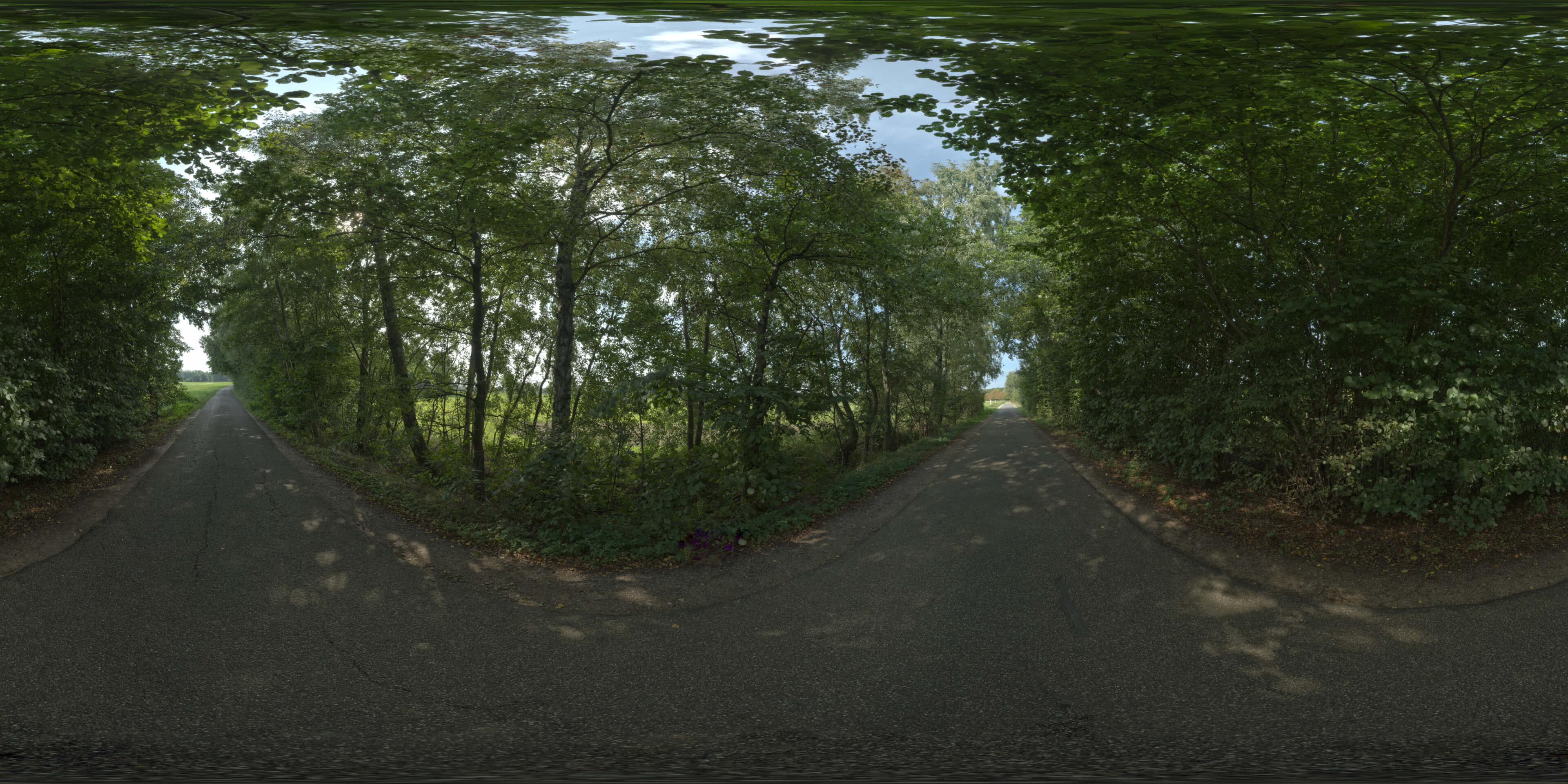 Dayenvironment HDRI Seamless Texture Patterns 4K (4096*4096) - HDR ...