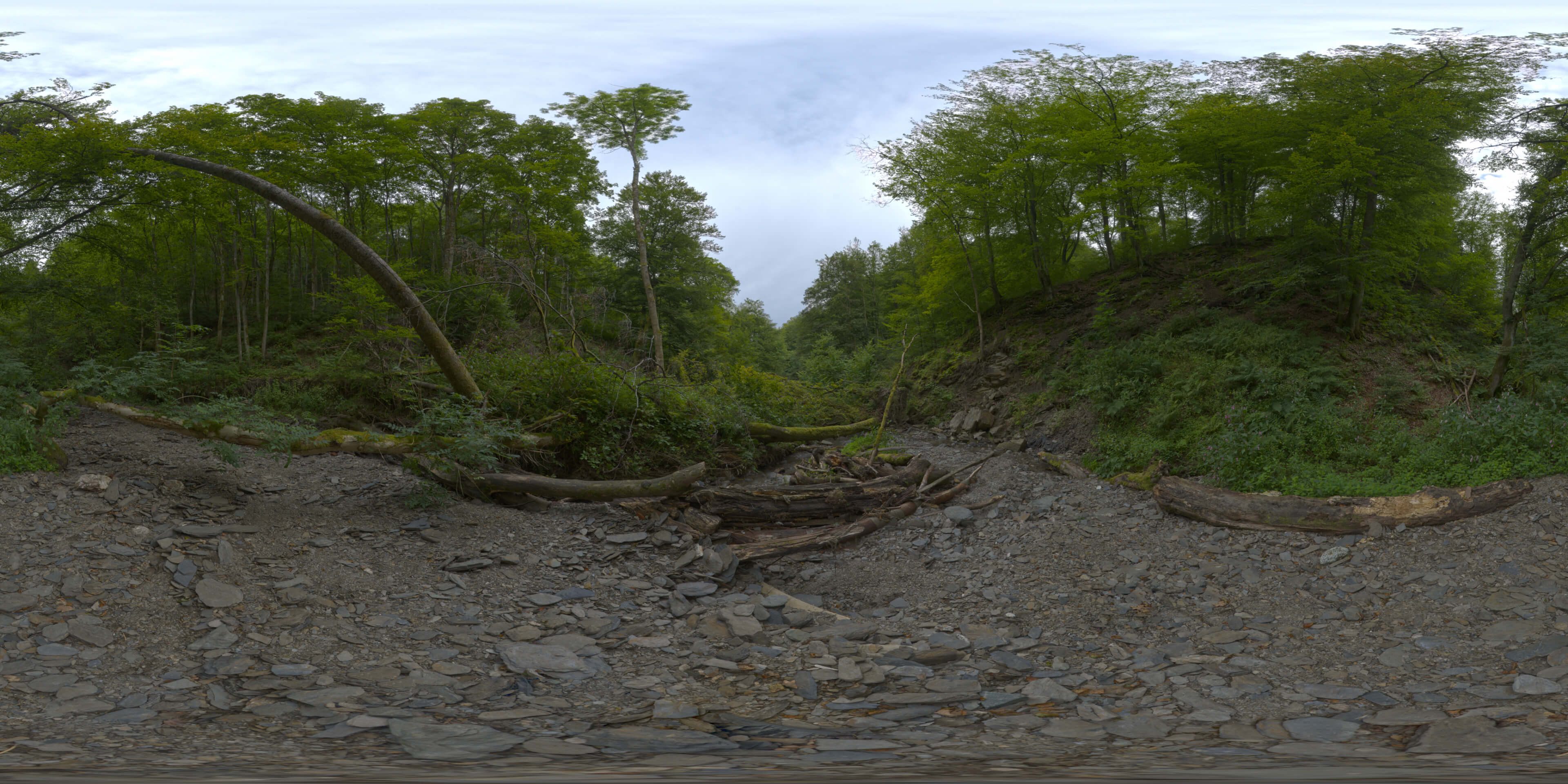 Dayenvironment HDRI Seamless Texture Patterns 4K (4096*4096) - HDR ...