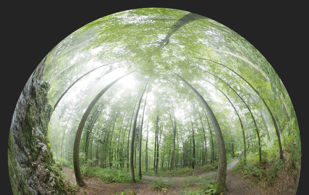 Dayenvironment HDRI Seamless Texture Patterns 4K (4096*4096) - HDR ...