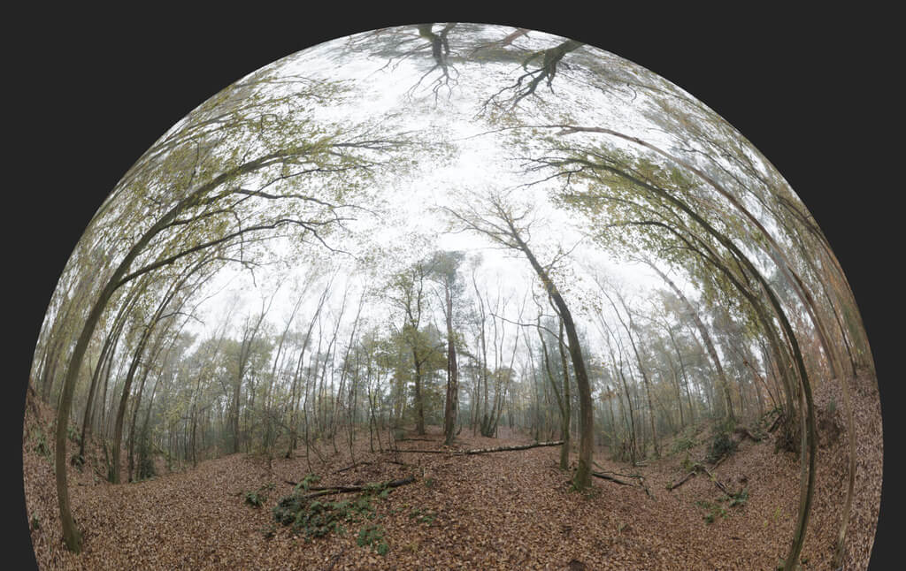 Dayenvironment HDRI Seamless Texture Patterns 4K (4096*4096) - HDR ...