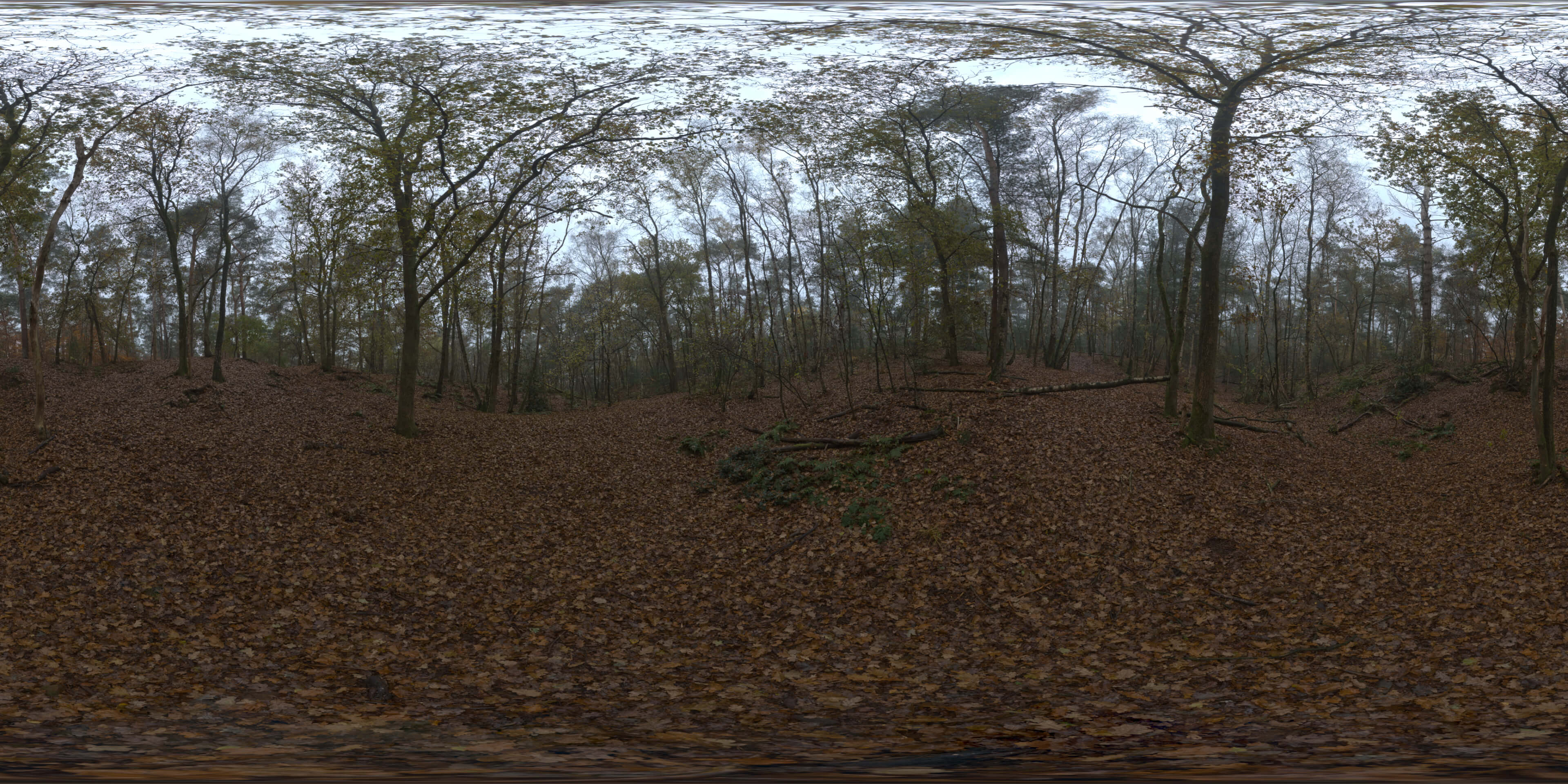 Dayenvironment HDRI Seamless Texture Patterns 4K (4096*4096) - HDR ...