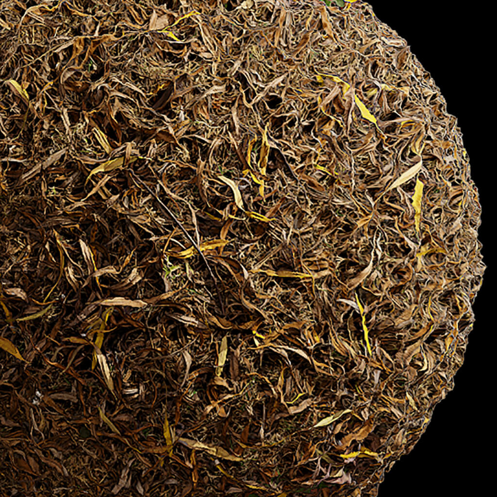 Debris Seamless Texture 2K (2048*2048) - EXR 5 - JPG 5 by model789