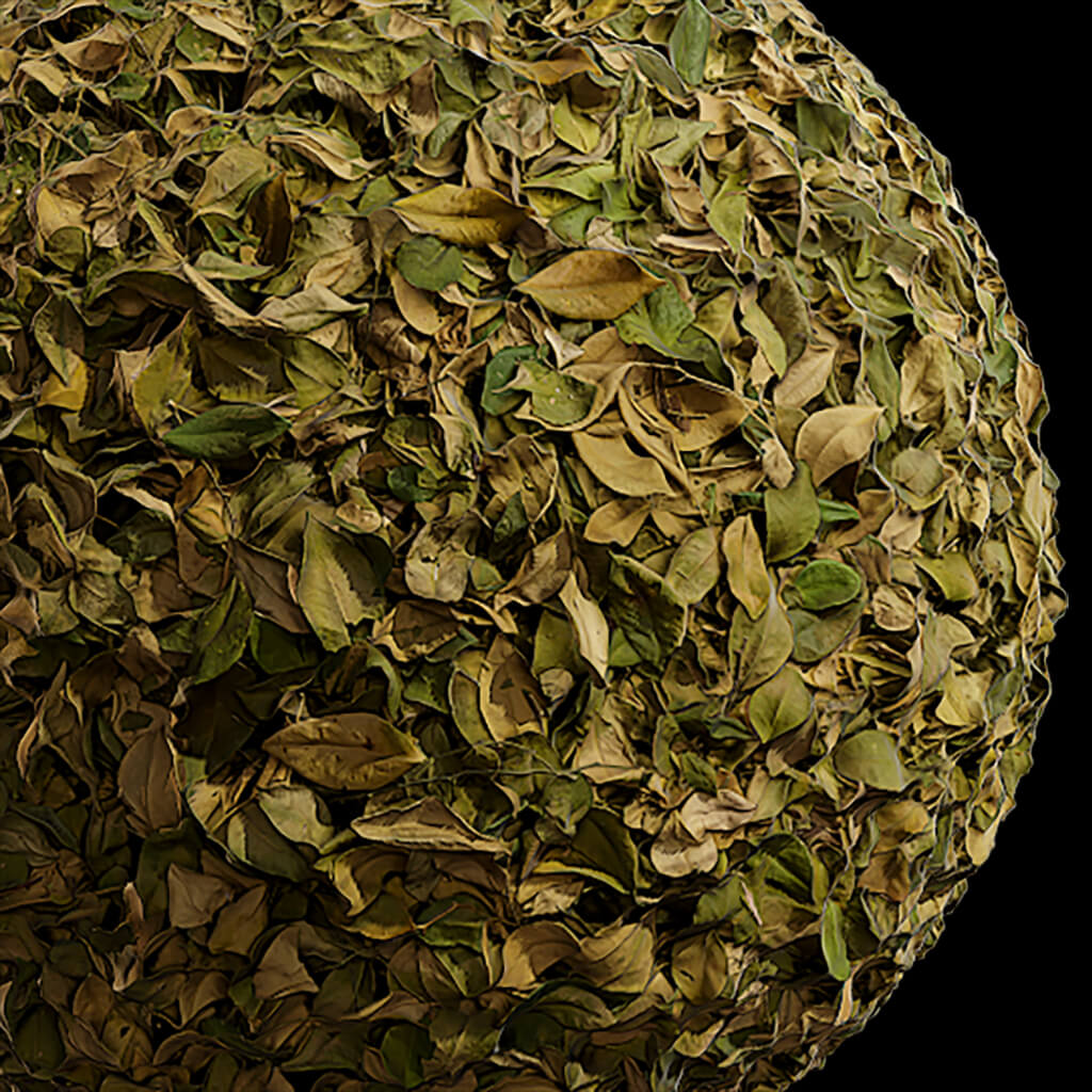 Debris Seamless Texture 2K (2048*2048) - EXR 5 - JPG 5 by model789