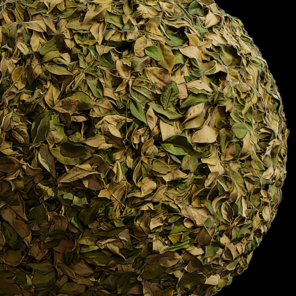 Debris Seamless Texture 2K (2048*2048) - EXR 5 - JPG 5 by model789