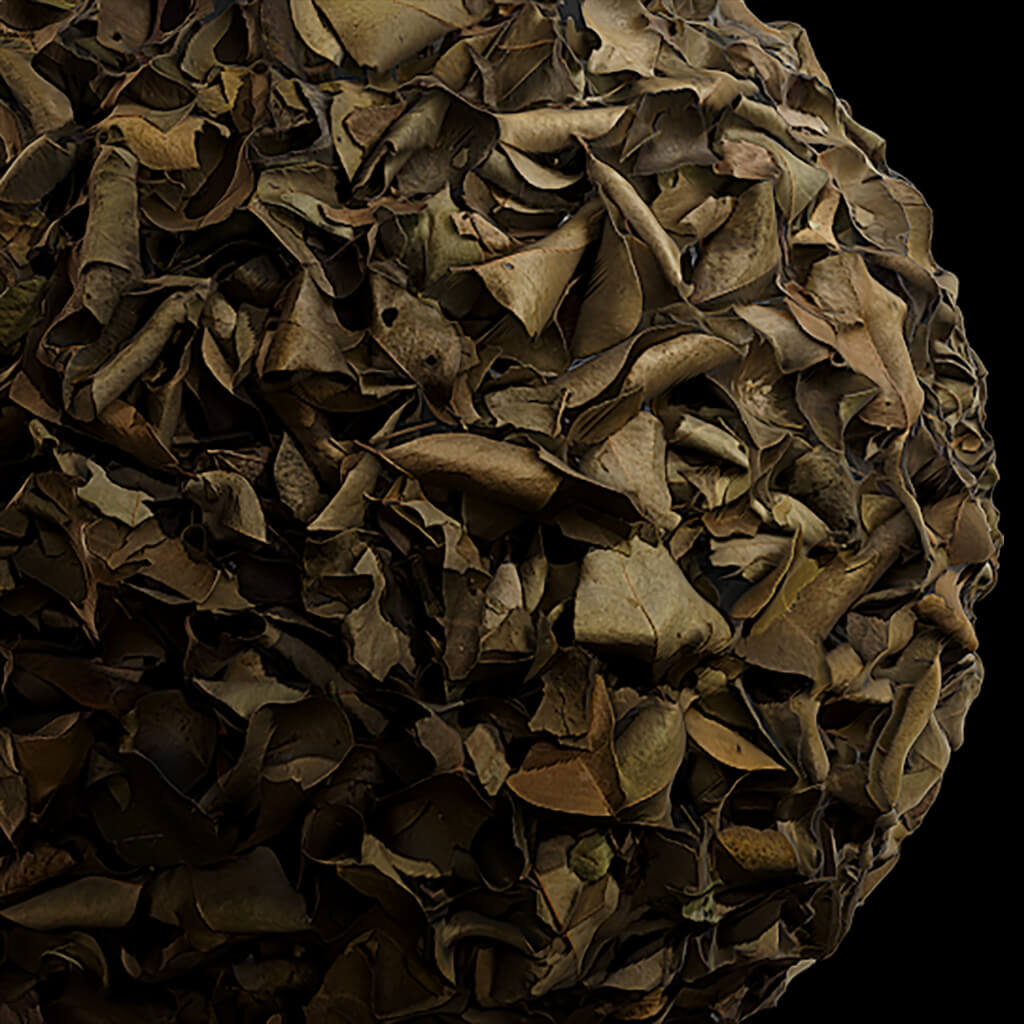 Debris Seamless Texture 2K (2048*2048) - EXR 5 - JPG 5 by model789