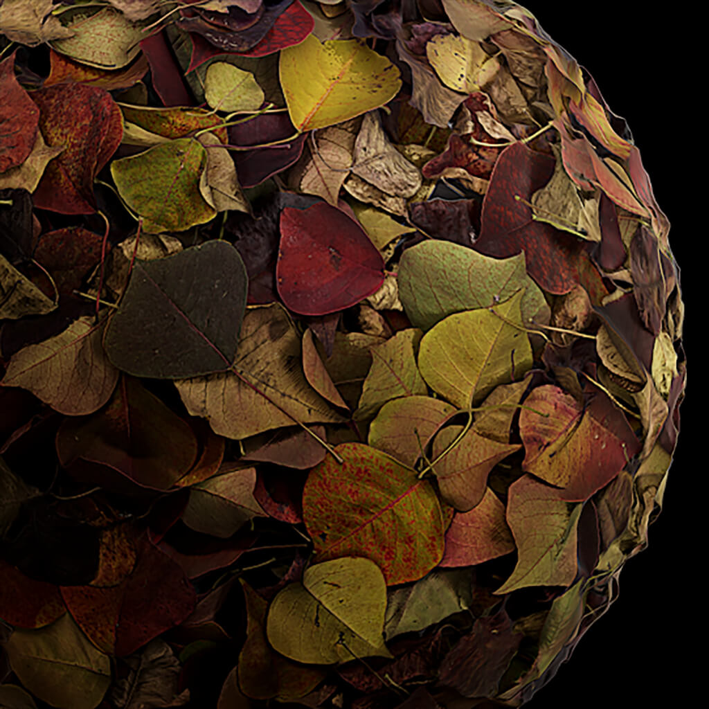 Debris Seamless Texture 2K (2048*2048) - EXR 5 - JPG 5 by model789