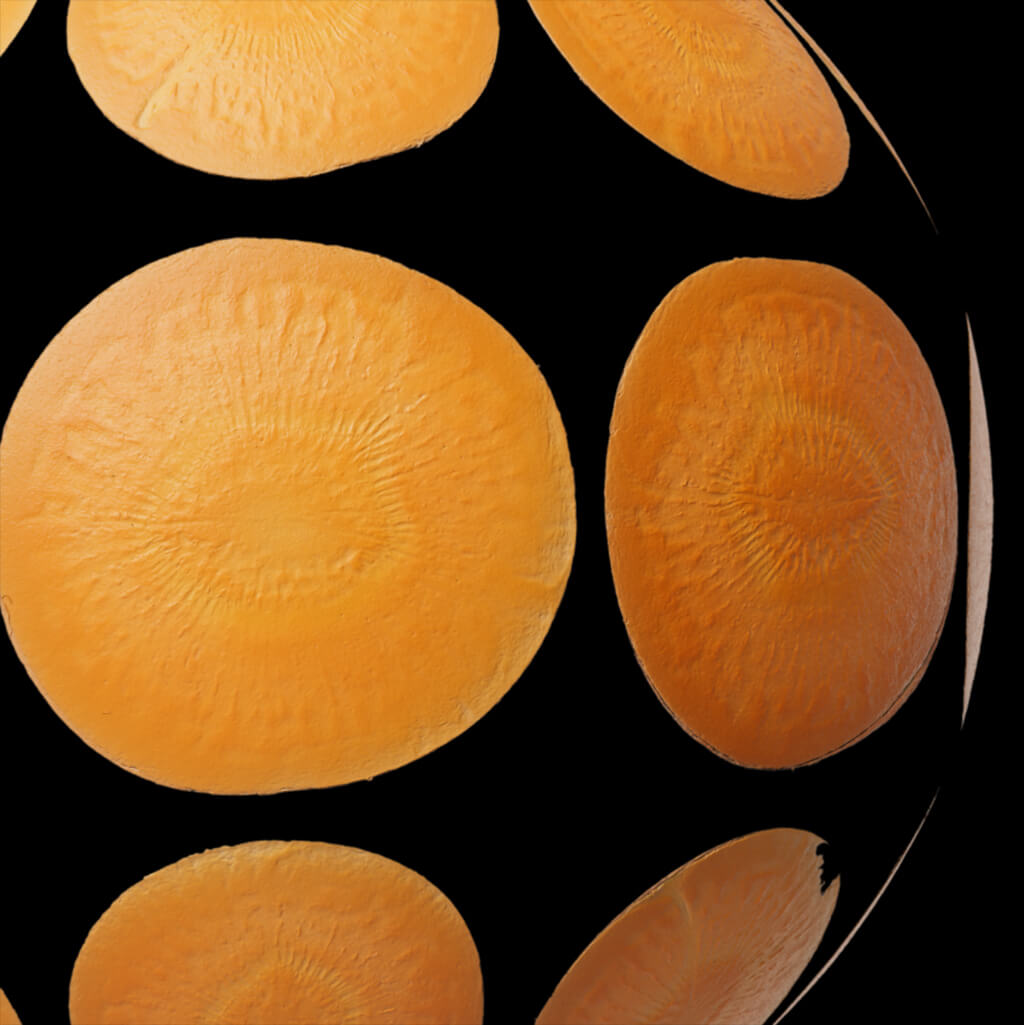 Foodcrosssectionset Seamless Texture Patterns 2K (2048*2048) by model789