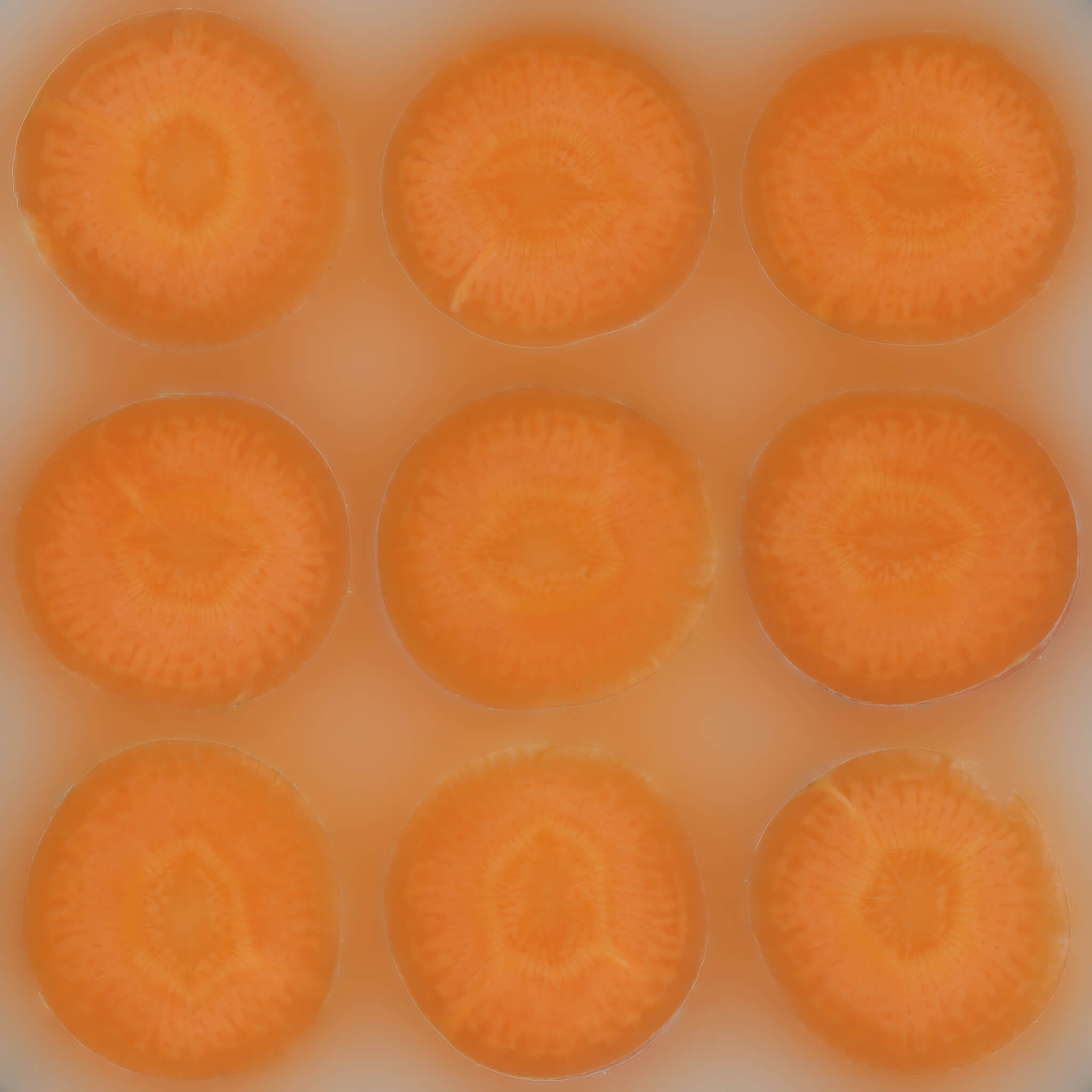 Foodcrosssectionset Seamless Texture Patterns 2K (2048*2048) by model789