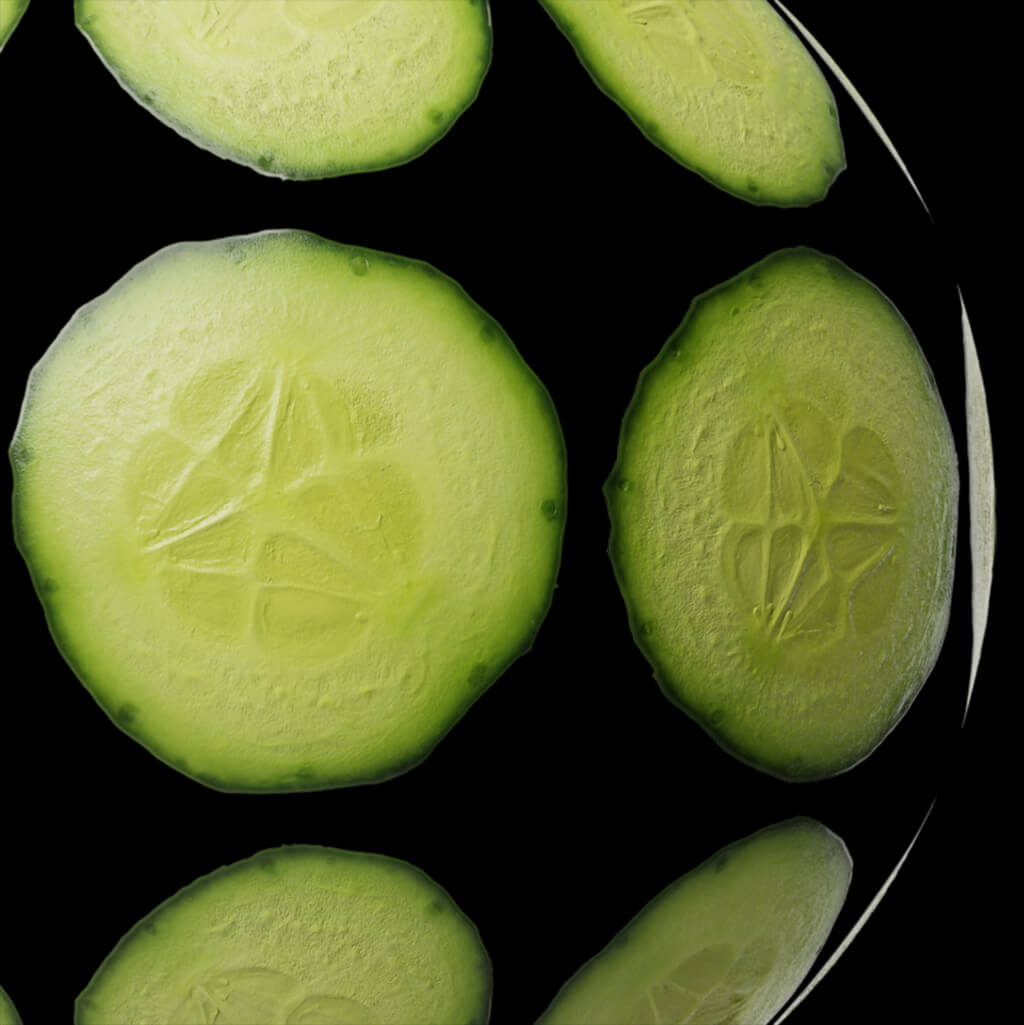 Foodcrosssectionset Seamless Texture Patterns 2K (2048*2048) by model789