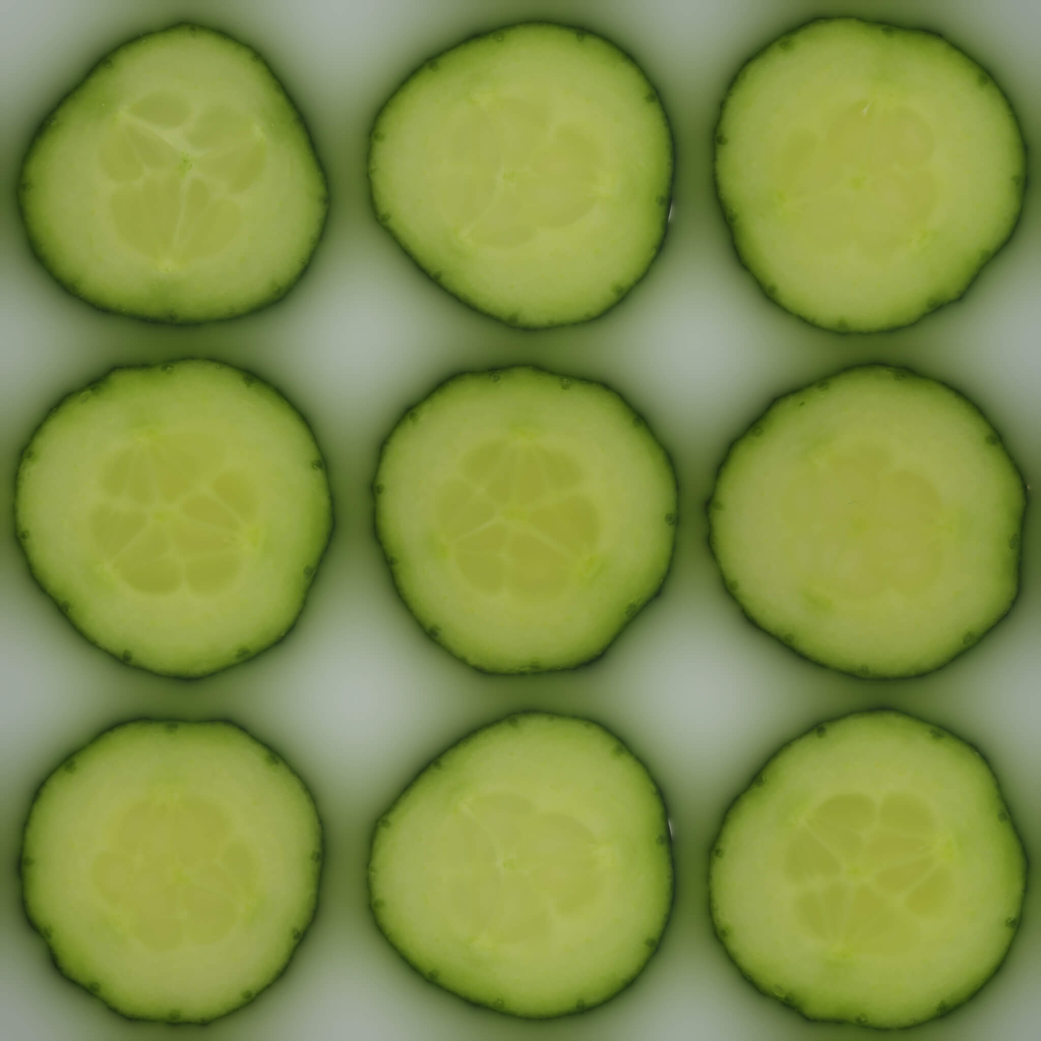 Foodcrosssectionset Seamless Texture Patterns 2K (2048*2048) by model789