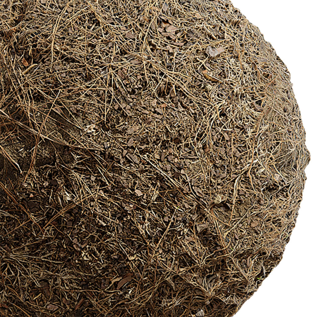 Grass Seamless Texture 2K (2048*2048) - EXR 5 - JPG 5 by model789