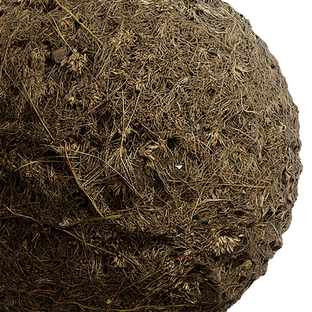 Grass Seamless Texture 2K (2048*2048) - EXR 5 - JPG 5 by model789