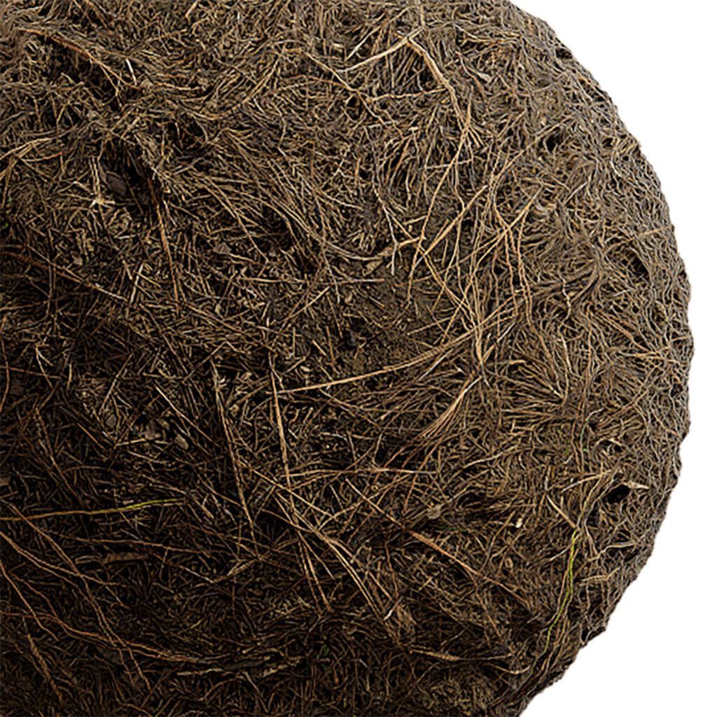 Grass Seamless Texture 2K (2048*2048) - EXR 5 - JPG 5 by model789
